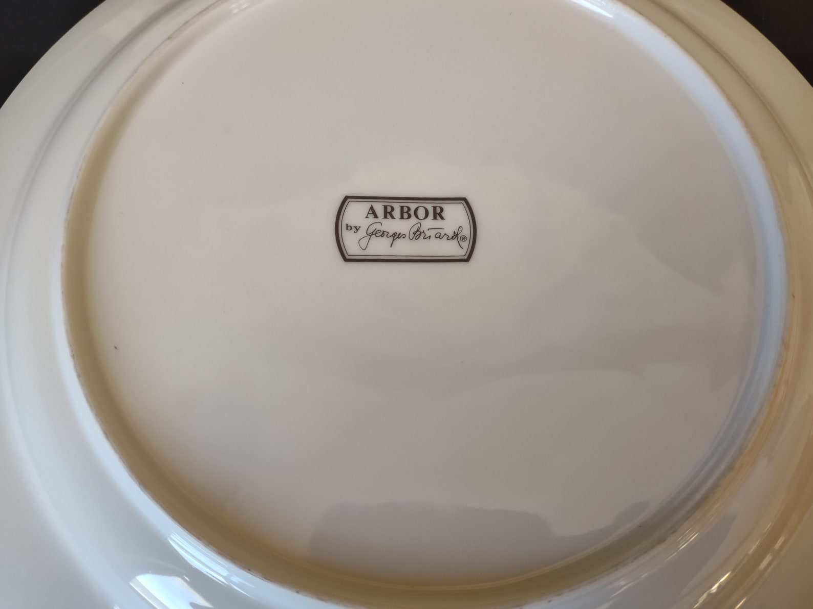 Set 4 Dinner Plate Arbor George Briard Fruit Grape Thanksgiving (lot ...