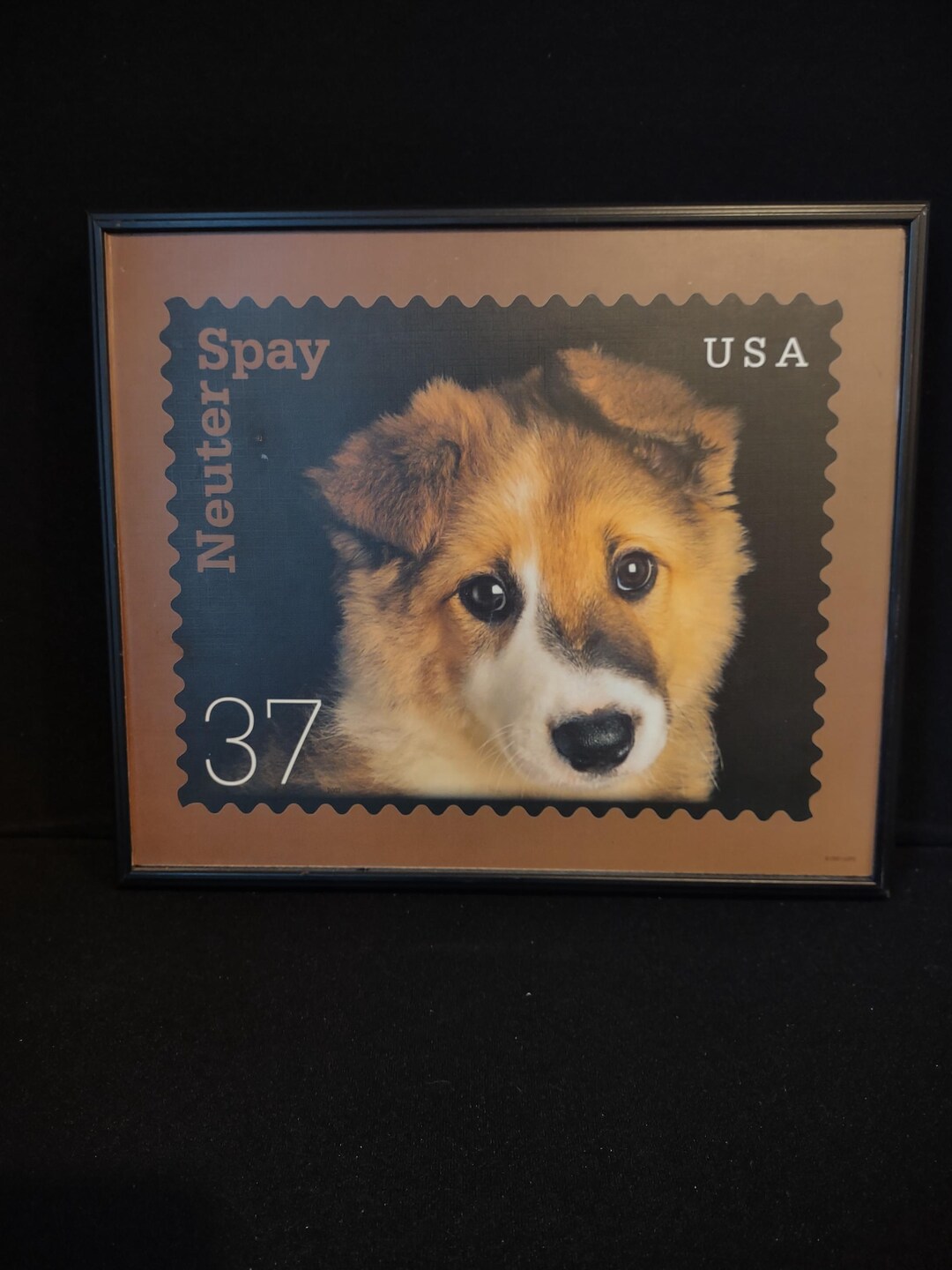 Picture Dog Neuter Spay Stamp Wall Decor (lot 2525c) - Etsy