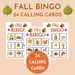 30 Cards Fall Bingo Printable | Seasonal Game for Adults and Kids ...
