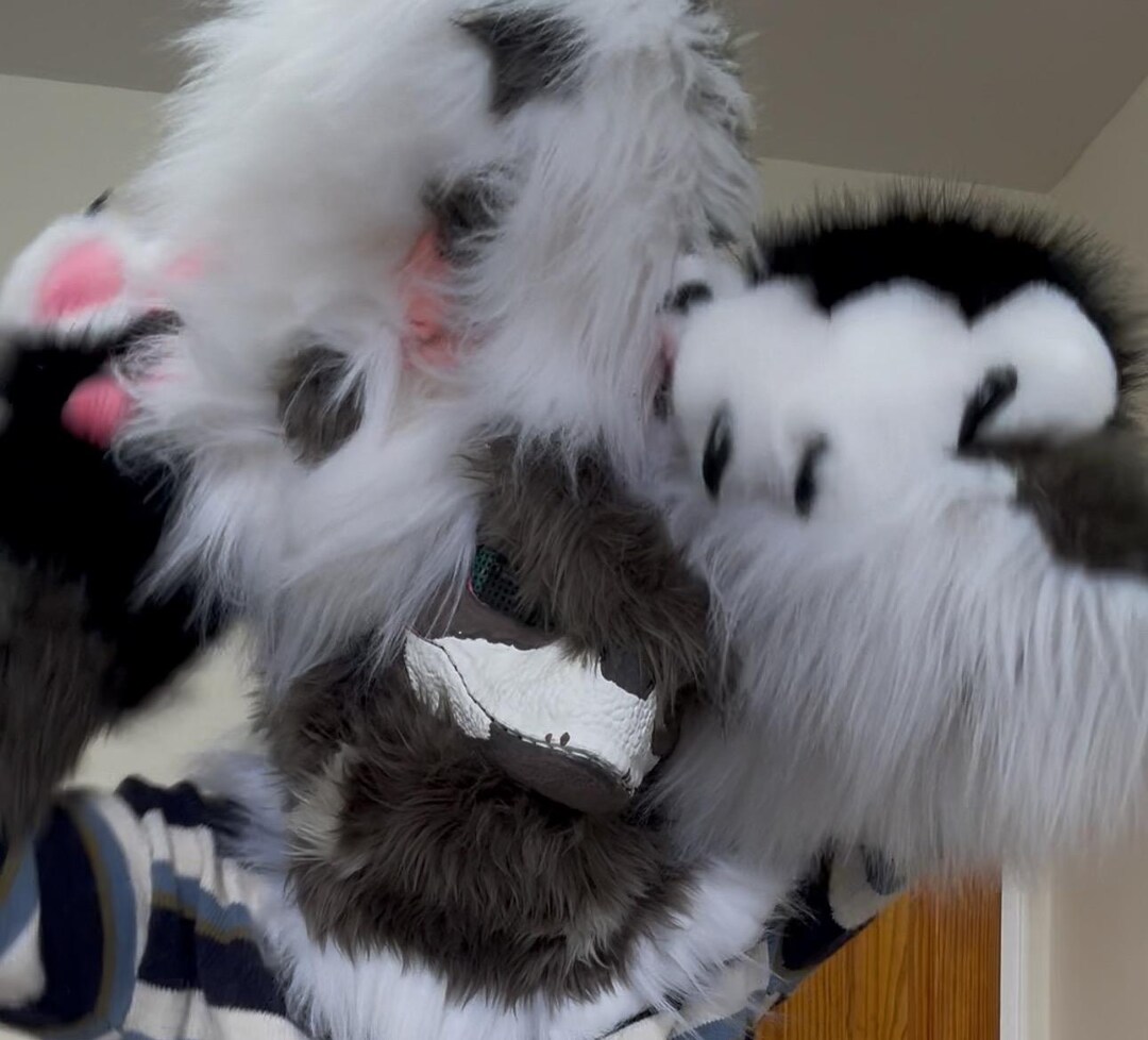 Dino Mask Partial Fursuit, Fluffy Cat Wolf Hybrid. Read Description ...