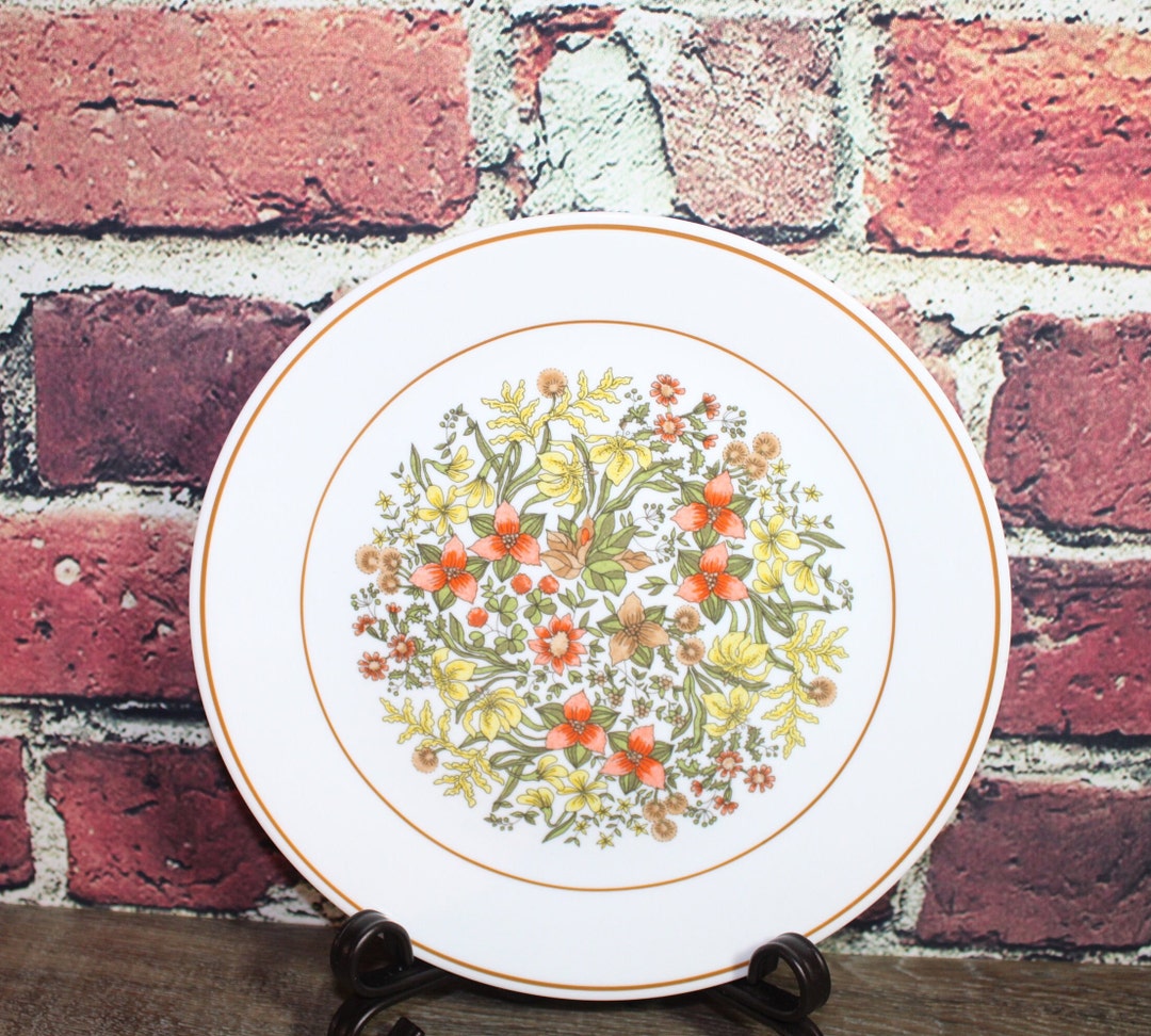 Indian Summer Dinner Plates Set of 2 - Etsy