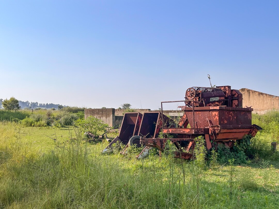 Field Cradle Moon Gauteng South Africa - Etsy