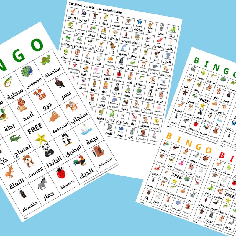 Arabic Language Gifts - 60+ Gift Ideas for 2026