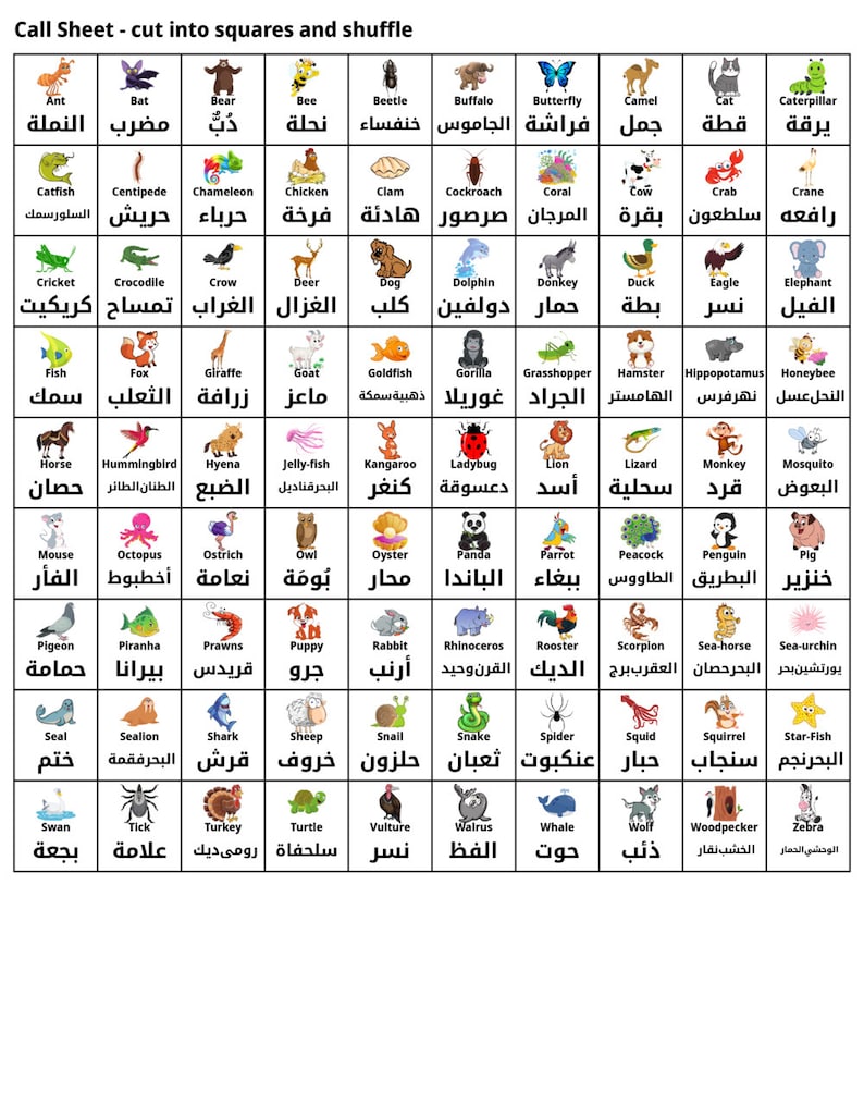 Arabic Animal Bingo – Language Learning Cards (A4 & US Letter) عربي - Etsy