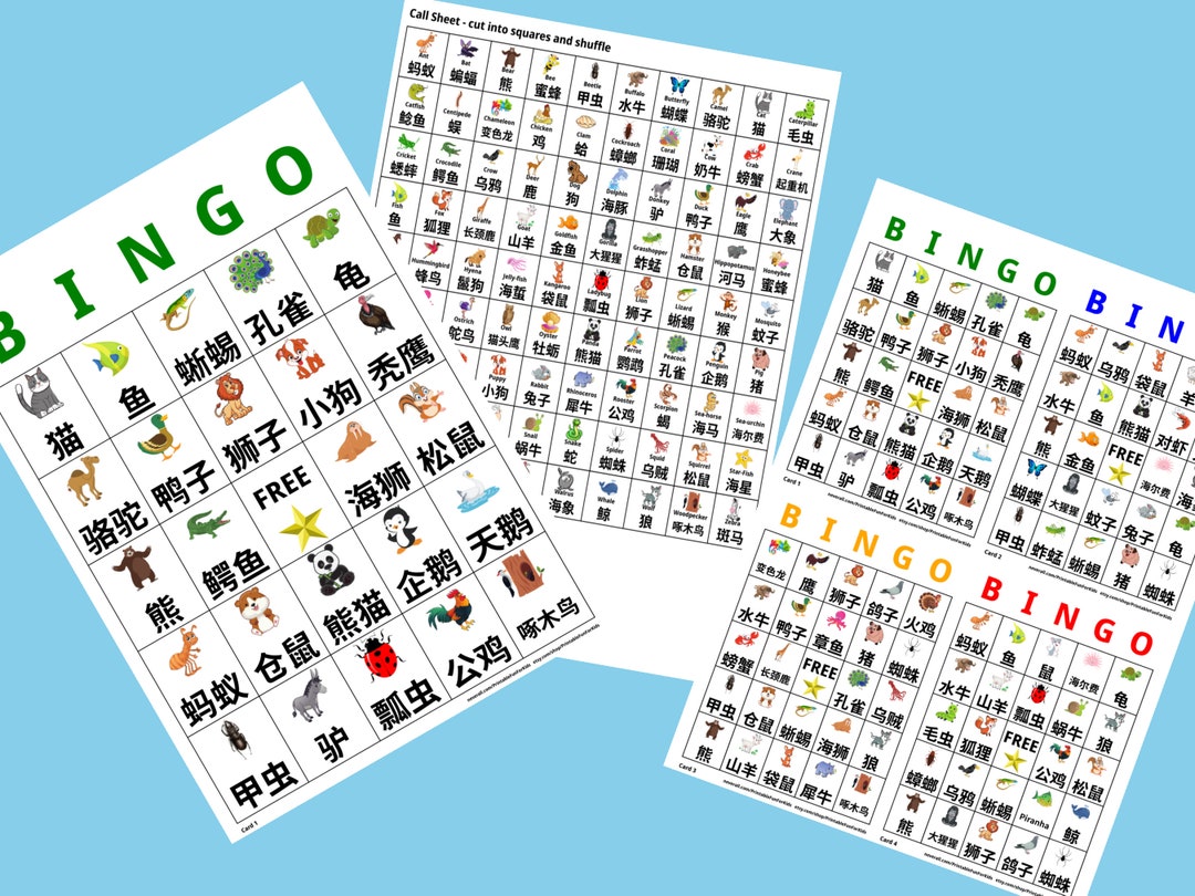 1000 Simplified Chinese Animal Bingo Language Learning Cards 简体中文 - A4 ...