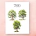Edit Family Tree Creator DIY Frame Template, Photo Family Tree Roots ...