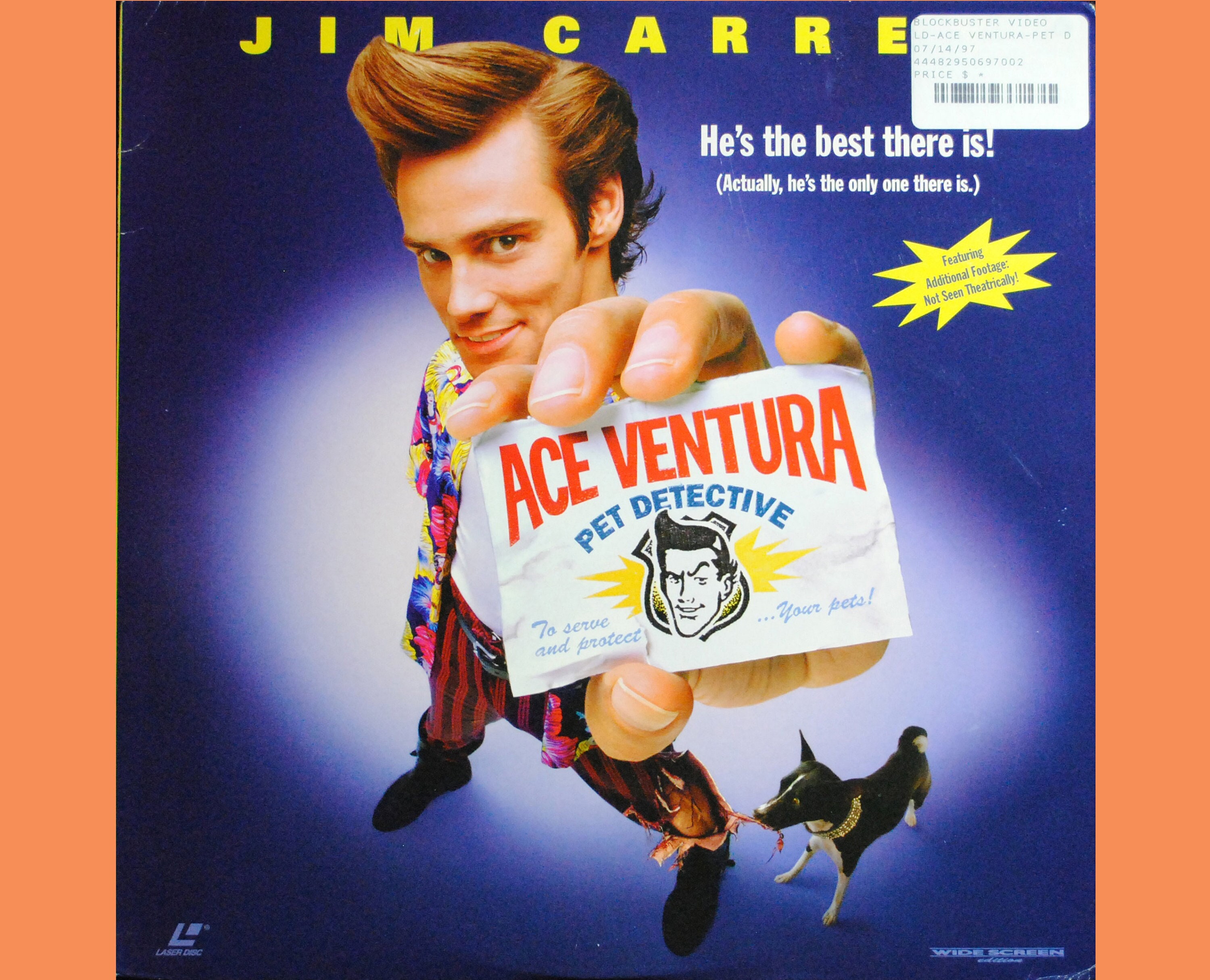 Ace Ventura Pet Detective Movie Poster