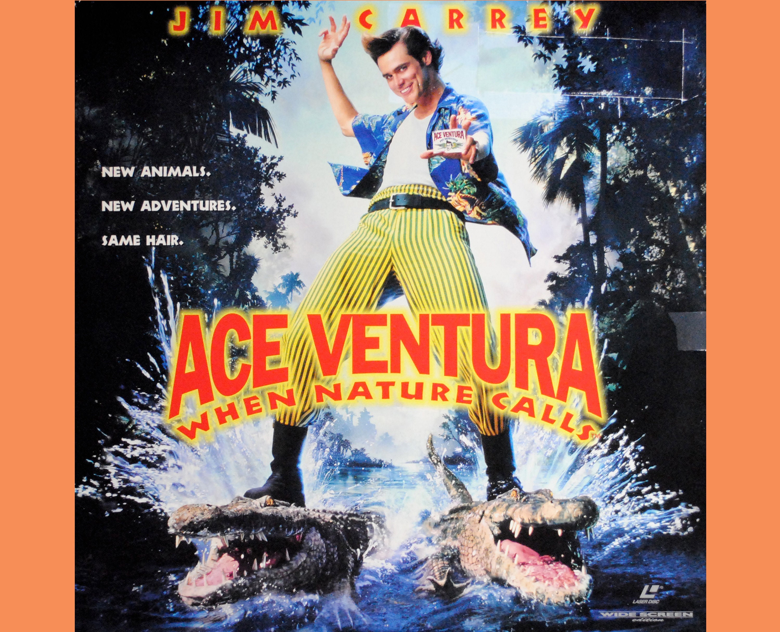 Ace Ventura 2 Fight