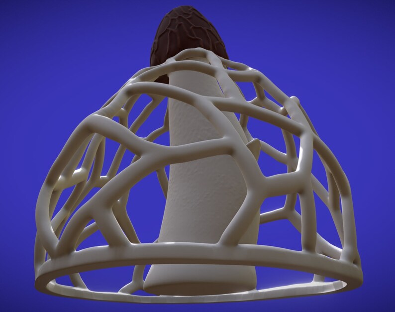 STL File Phallus Impudique Authentic 3D Model of the Devil's Morel - Etsy