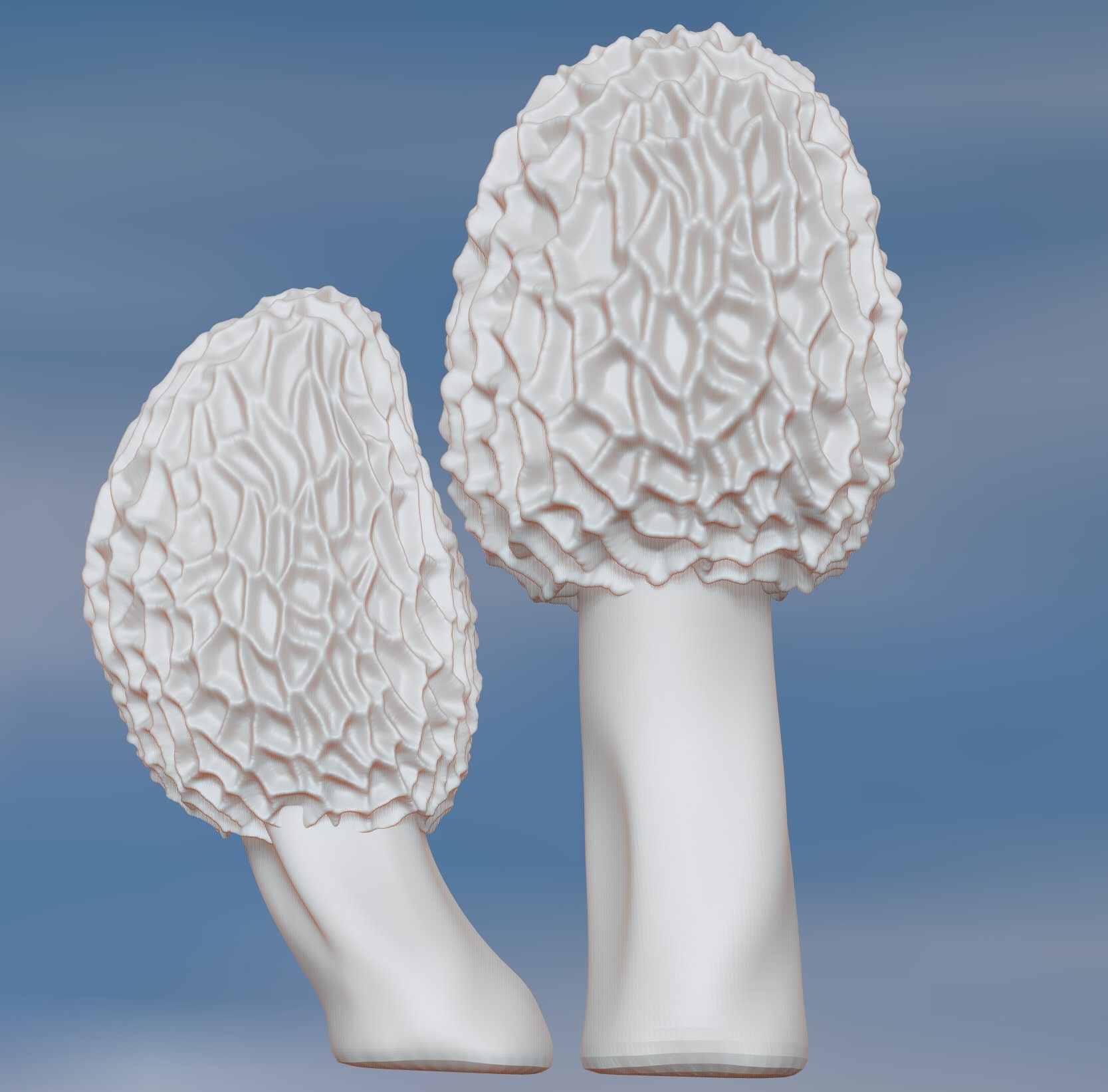 3d Print File Stl Sculpture Naturalist Morel Mushrooms - Etsy