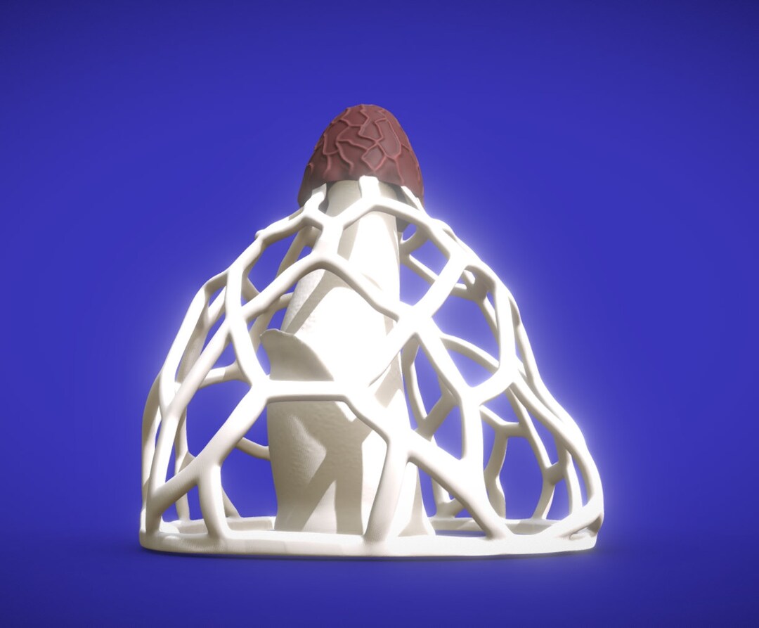 STL File Phallus Impudique Authentic 3D Model of the Devil's Morel - Etsy