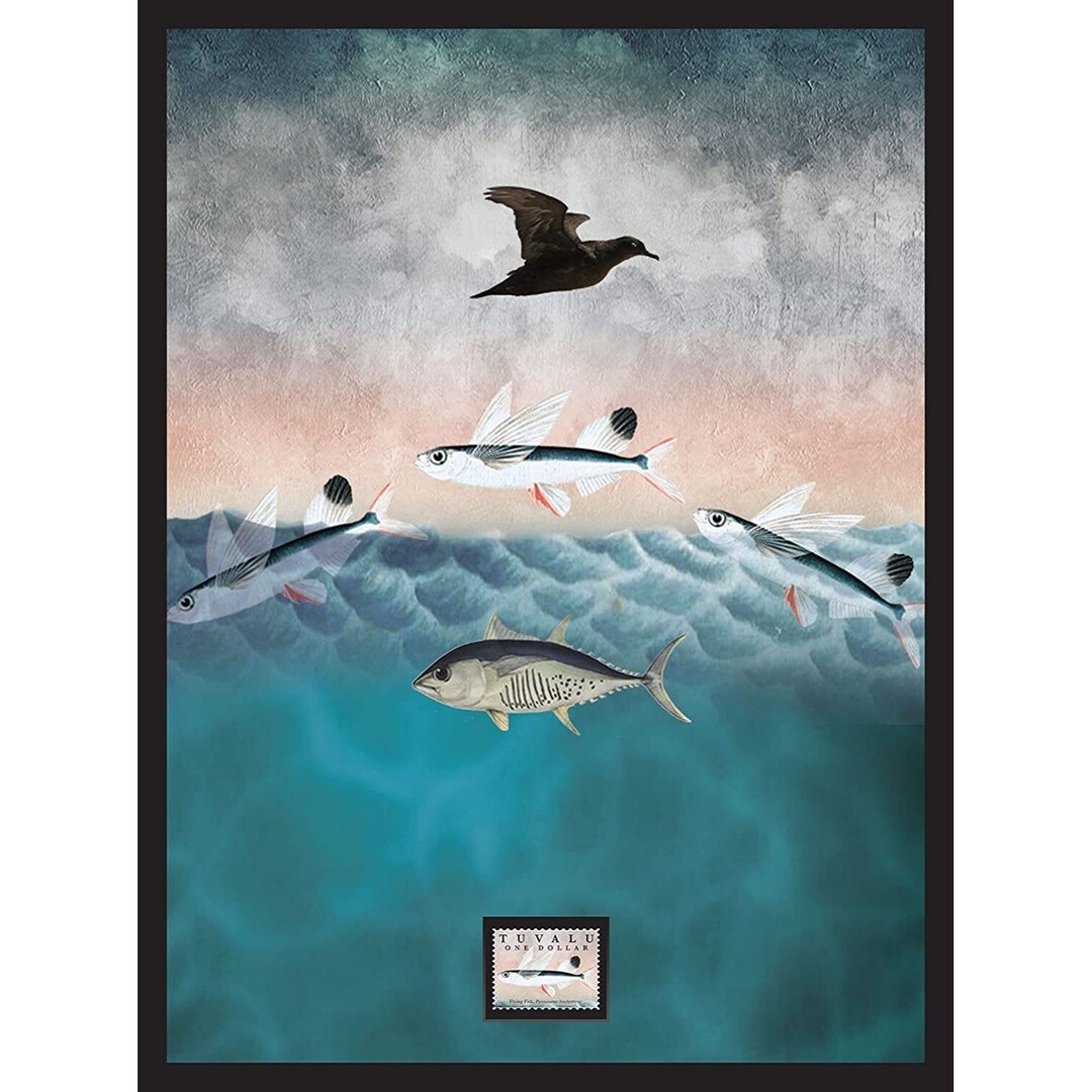 Marine Life, Flying Fish Framed Wall Art With Postage Stamp - Etsy