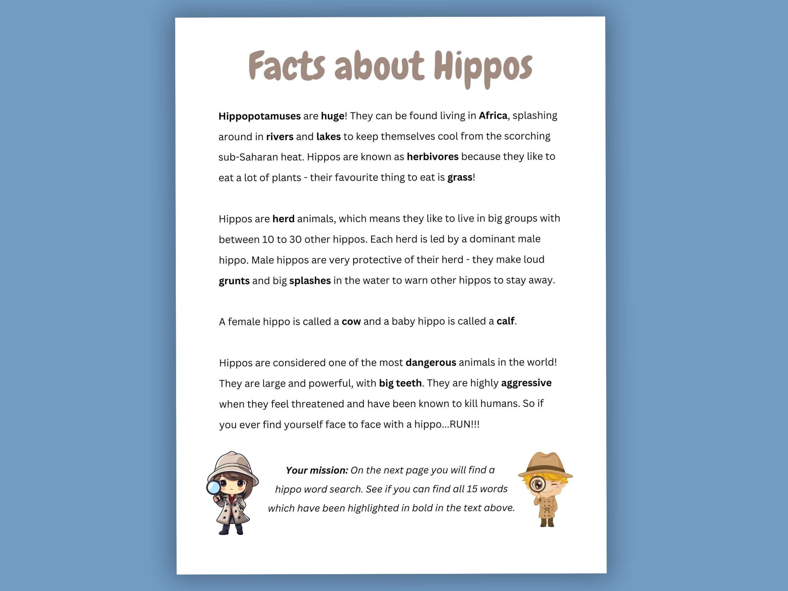 Hippo Word Search Puzzle for Kids: Fun Fact Sheet (PDF) - Etsy