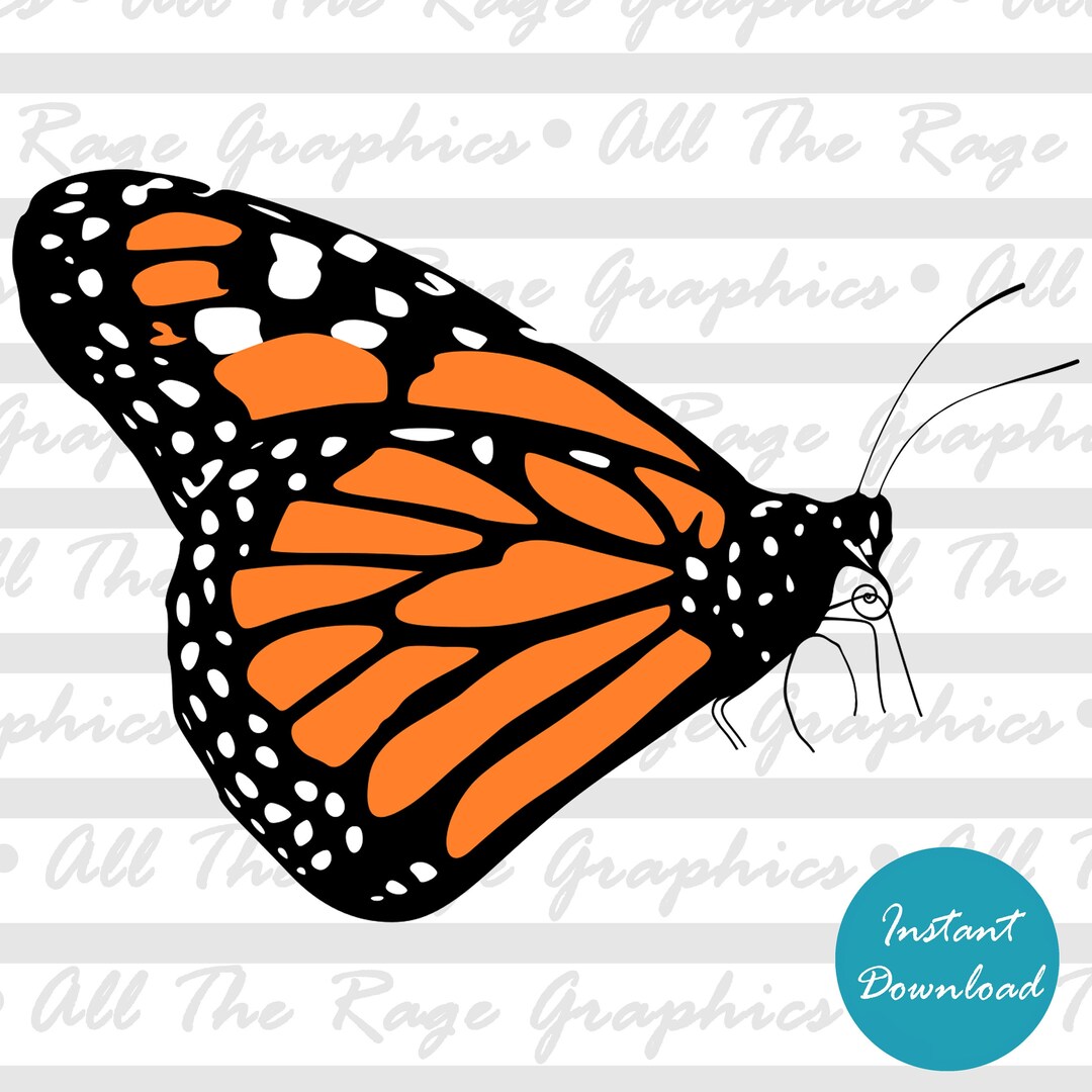 Monarch Butterfly Instant Digital Download Png Jpg Svg Pdf Graphic ...
