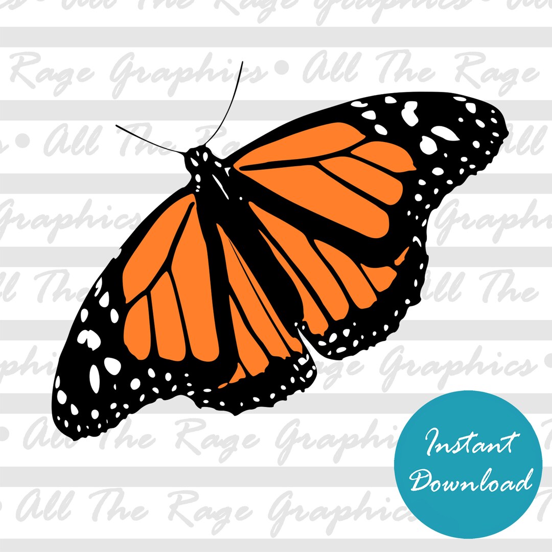 Beautiful Monarch Butterfly | Instant Digital Download | Png Jpg Svg ...