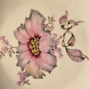 Vintage zeh Scherzer Porcelain Bavaria Handpainted Plates Made in ...