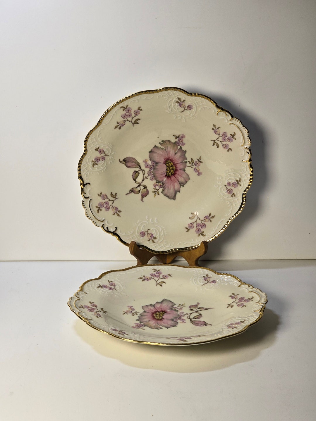 Vintage zeh Scherzer Porcelain Bavaria Handpainted Plates Made in ...