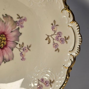 Vintage zeh Scherzer Porcelain Bavaria Handpainted Plates Made in ...