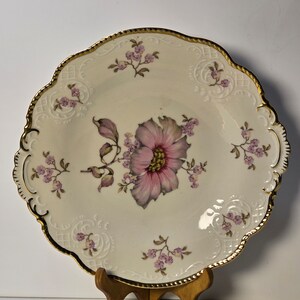 Vintage zeh Scherzer Porcelain Bavaria Handpainted Plates Made in ...