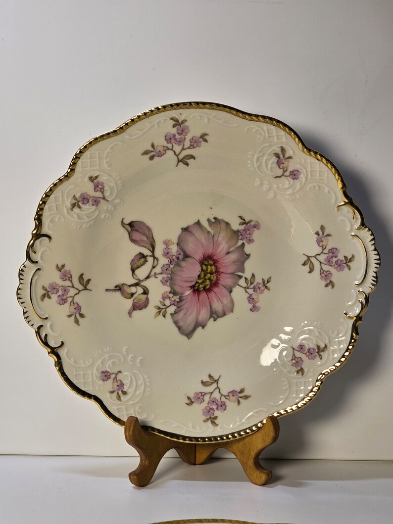 Vintage zeh Scherzer Porcelain Bavaria Handpainted Plates Made in ...