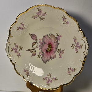 Vintage zeh Scherzer Porcelain Bavaria Handpainted Plates Made in ...