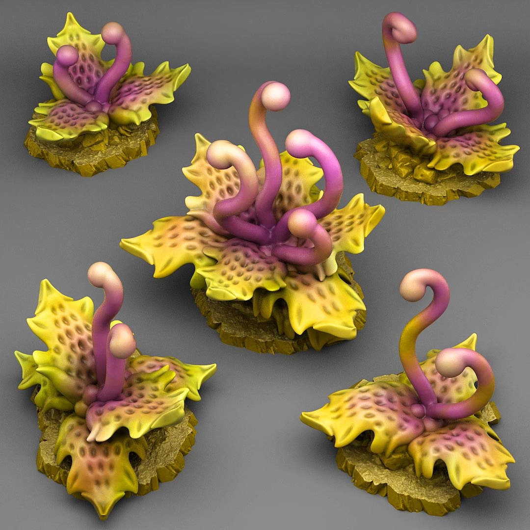 Carnivorous Tentacle Plants (5 Models) • Fantastic Plants and Rocks ...