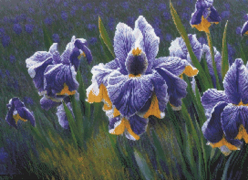 Dutch Iris Fields Counted Cross Stitch Pattern, Full Cover X Stitch ...
