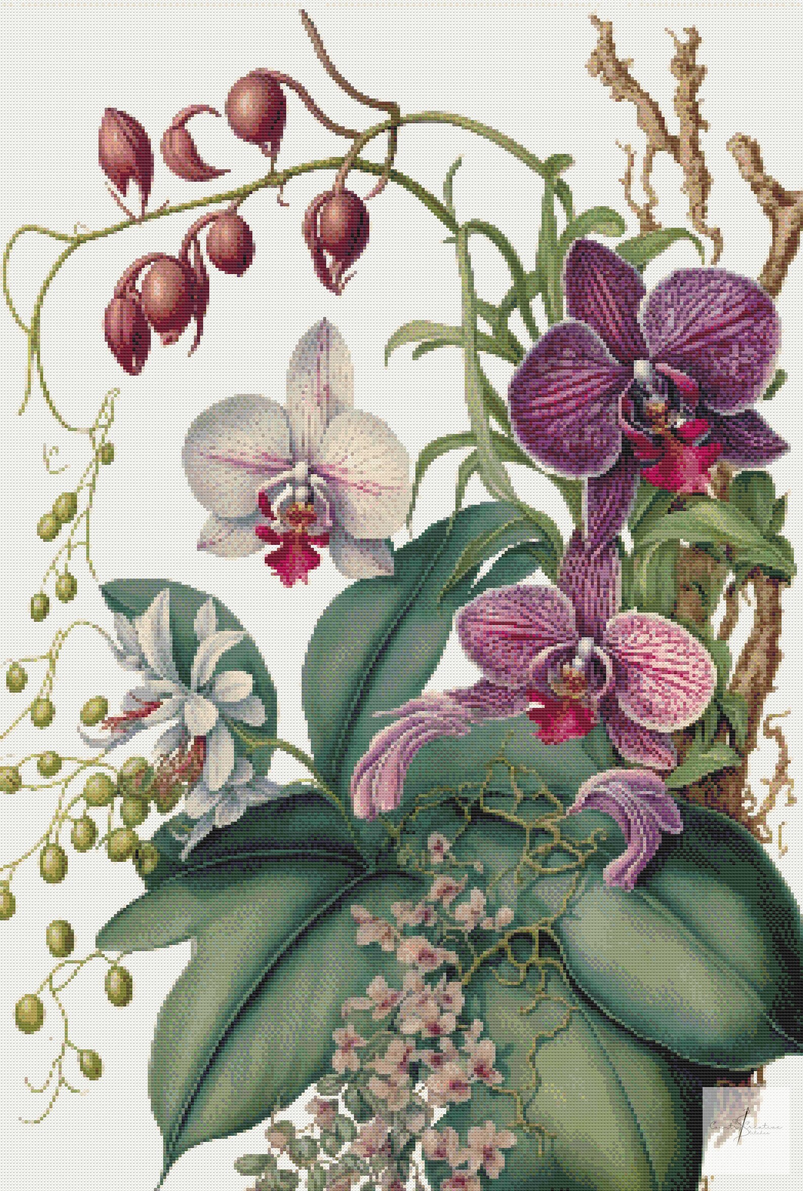 Orchid Blooms Counted Cross Stitch Pattern, Full Cover X Stitch ...