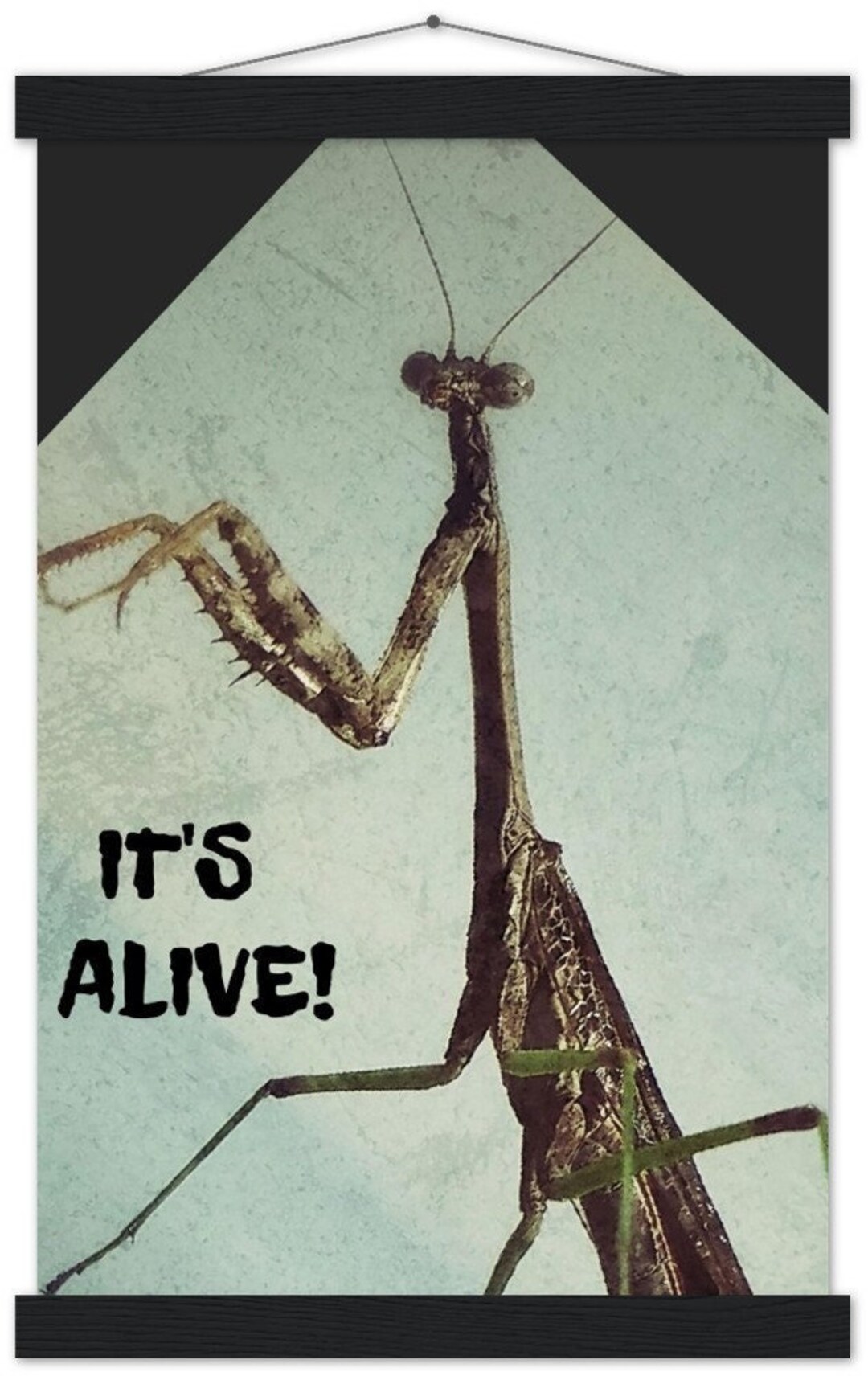 Mantis Poster - Etsy
