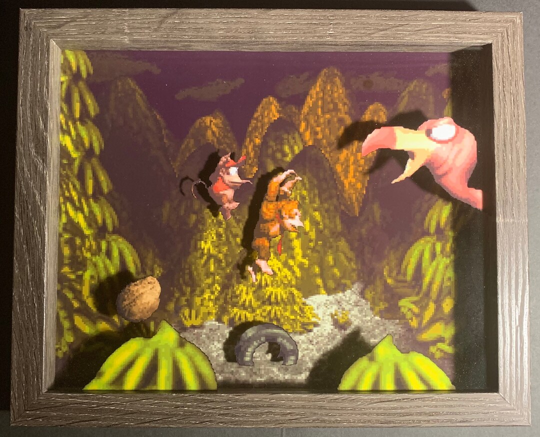 SNES Donkey Kong Country master Necky 3D Shadow Box 8 X 10 - Etsy