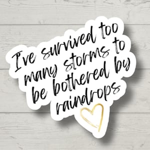 I've Survived Too Many Storms to Be Bothered by Raindrops, Laptop ...
