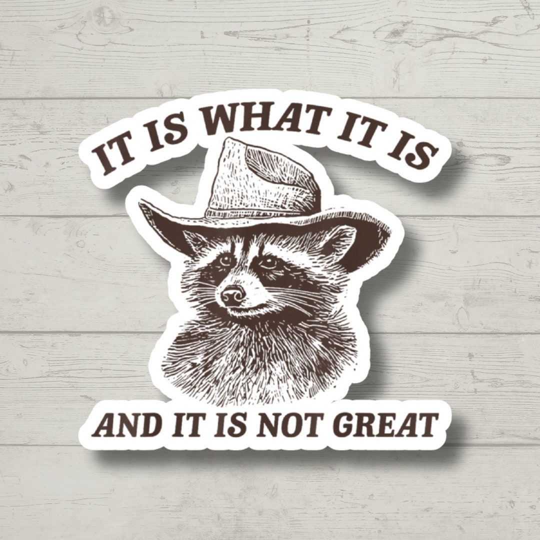 It is What It is Sticker, Funny Raccoon, Sticker for Laptop, Water ...