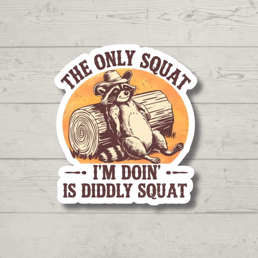 Diddly Squat, Funny Raccoon, Sticker for Laptop, Water Bottle Sticker ...