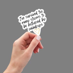 I've Survived Too Many Storms to Be Bothered by Raindrops, Laptop ...