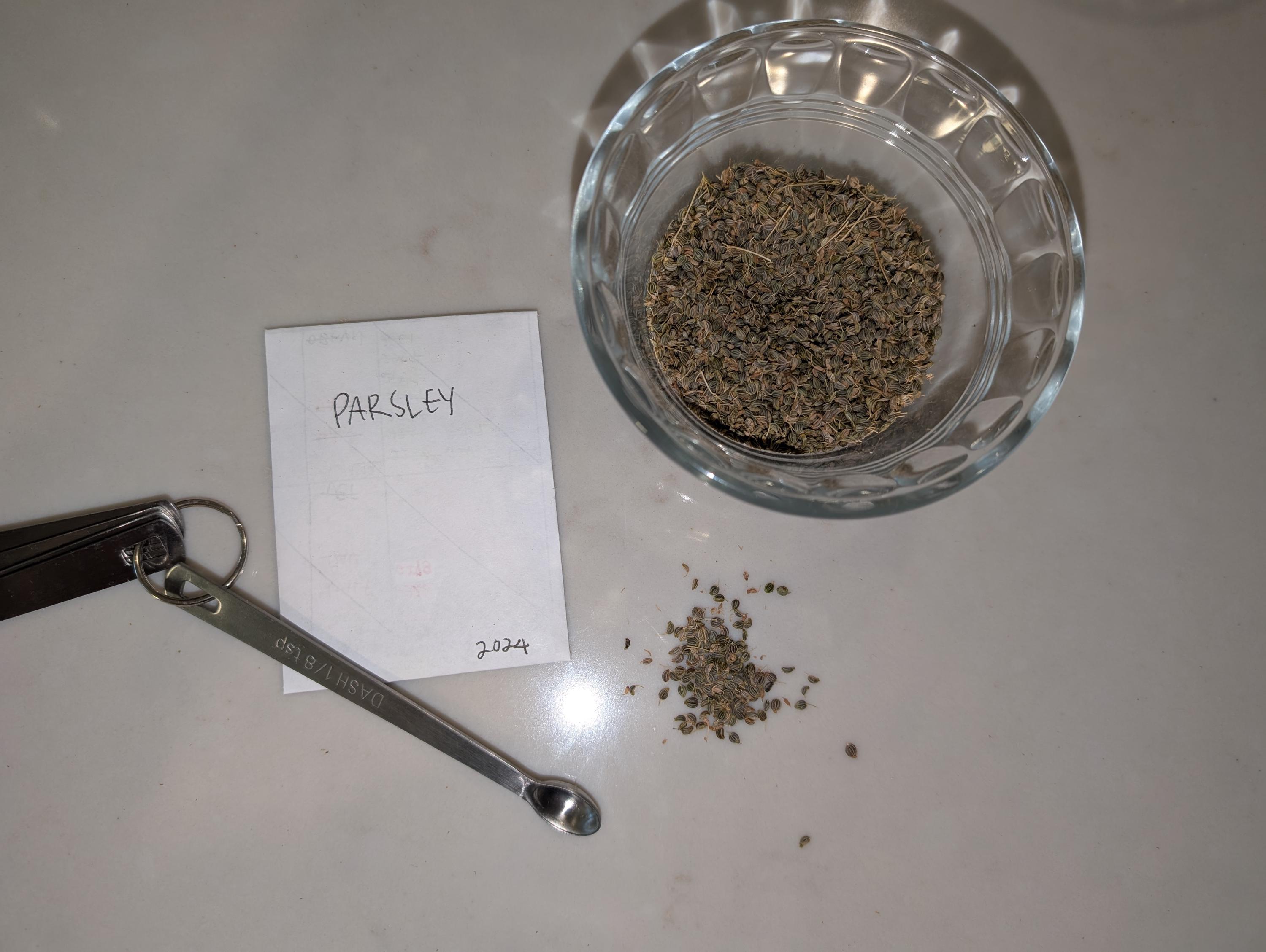 Parsley Seeds - Flat Leaf Parsley - Etsy