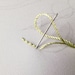 Letter L Pdf Hand Embroidery of Floral Alphabet, Monogram Pattern DIY ...