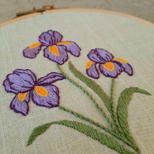Irises Pdf Hand Embroidery Beginner Spring Flowers Pattern DIY - Etsy