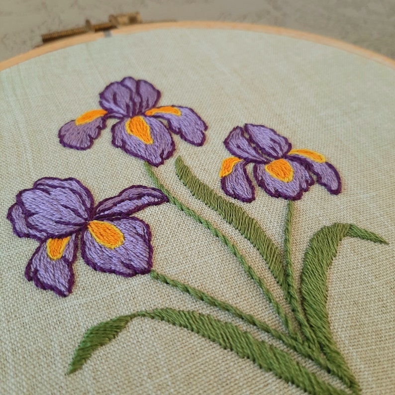 Irises Pdf Hand Embroidery Beginner Spring Flowers Pattern DIY - Etsy