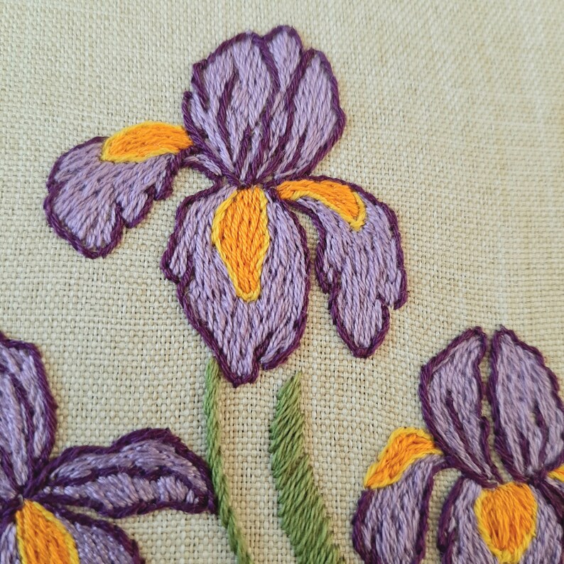 Irises Pdf Hand Embroidery Beginner Spring Flowers Pattern DIY - Etsy