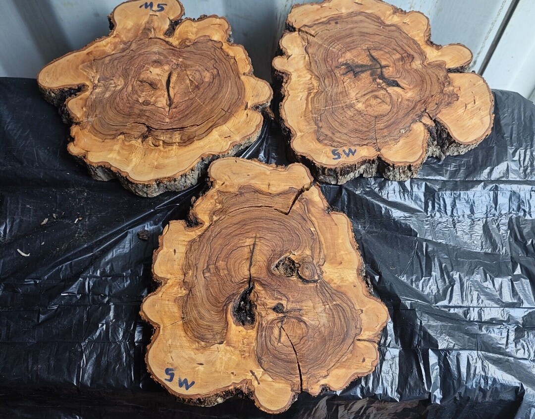 3X Rustic Olive Live Edge Slab Cookie Tree Root Slice Wood Slice for ...