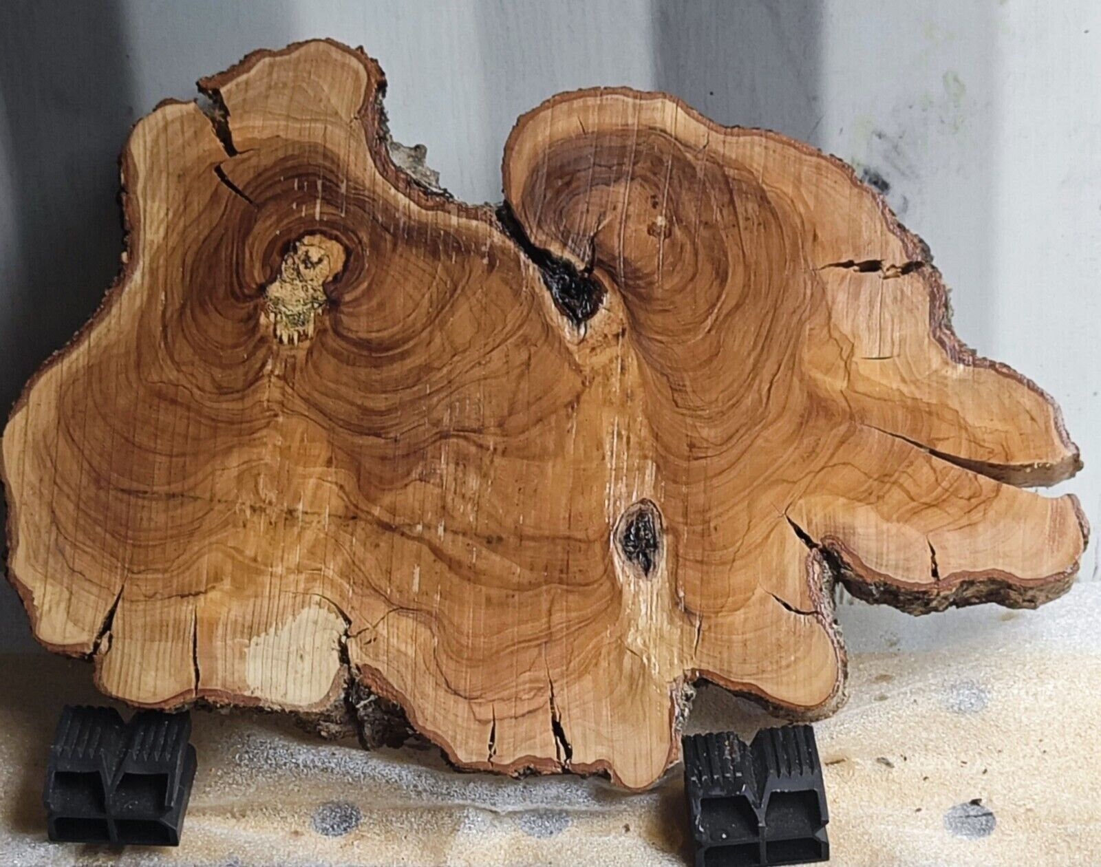 Rustic Olive Live Edge Slab Cookie Tree Root Slice Wood Slice for Epoxy ...