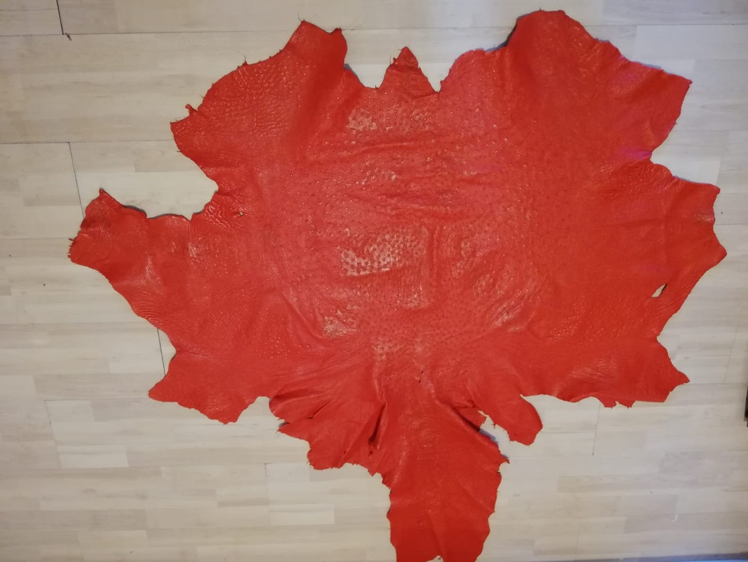 Farm Ostrich Skin Hide Leather Grade B 11 Foot %100 Genuine Natural ...