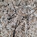 Jackson Pollock Style Soft Sand Handcrafted Abstract Expressionism Art ...