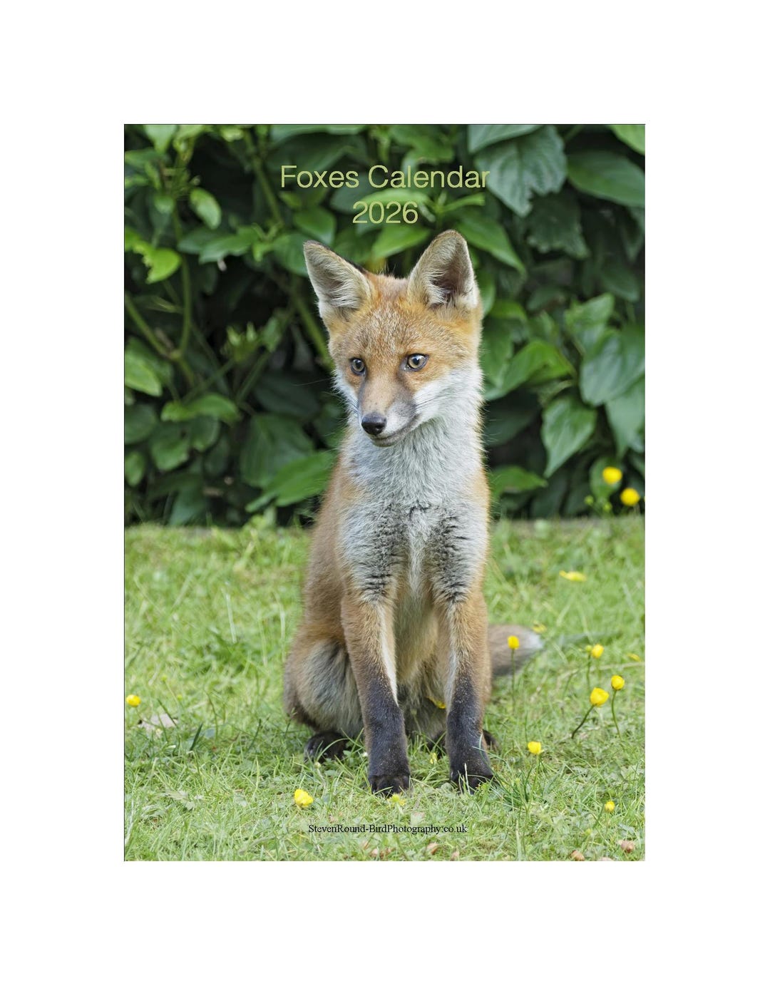 Foxes 2026 Wall Calendar. - Etsy