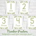 Number Posters Floral Number Posters Printable Numbers 1-20 Classroom ...