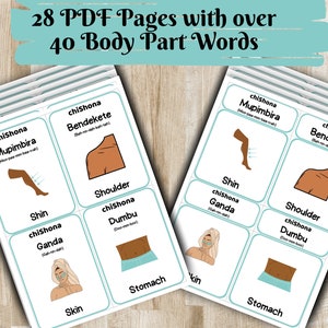 Shona Parts of the Body Flashcards: African Language Learning (digital ...