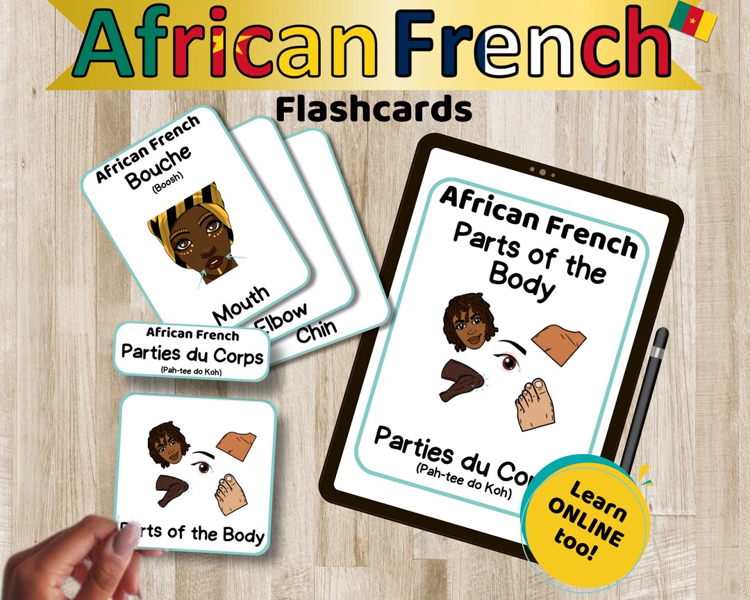 African French Flashcards: Parts of the Body Learning Cards (digital ...