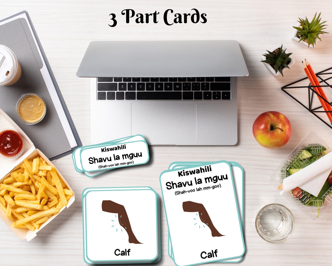 Swahili Parts of the Body Flashcards, 40 Digital African Language ...