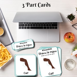 Swahili Parts of the Body Flashcards, 40 Digital African Language ...