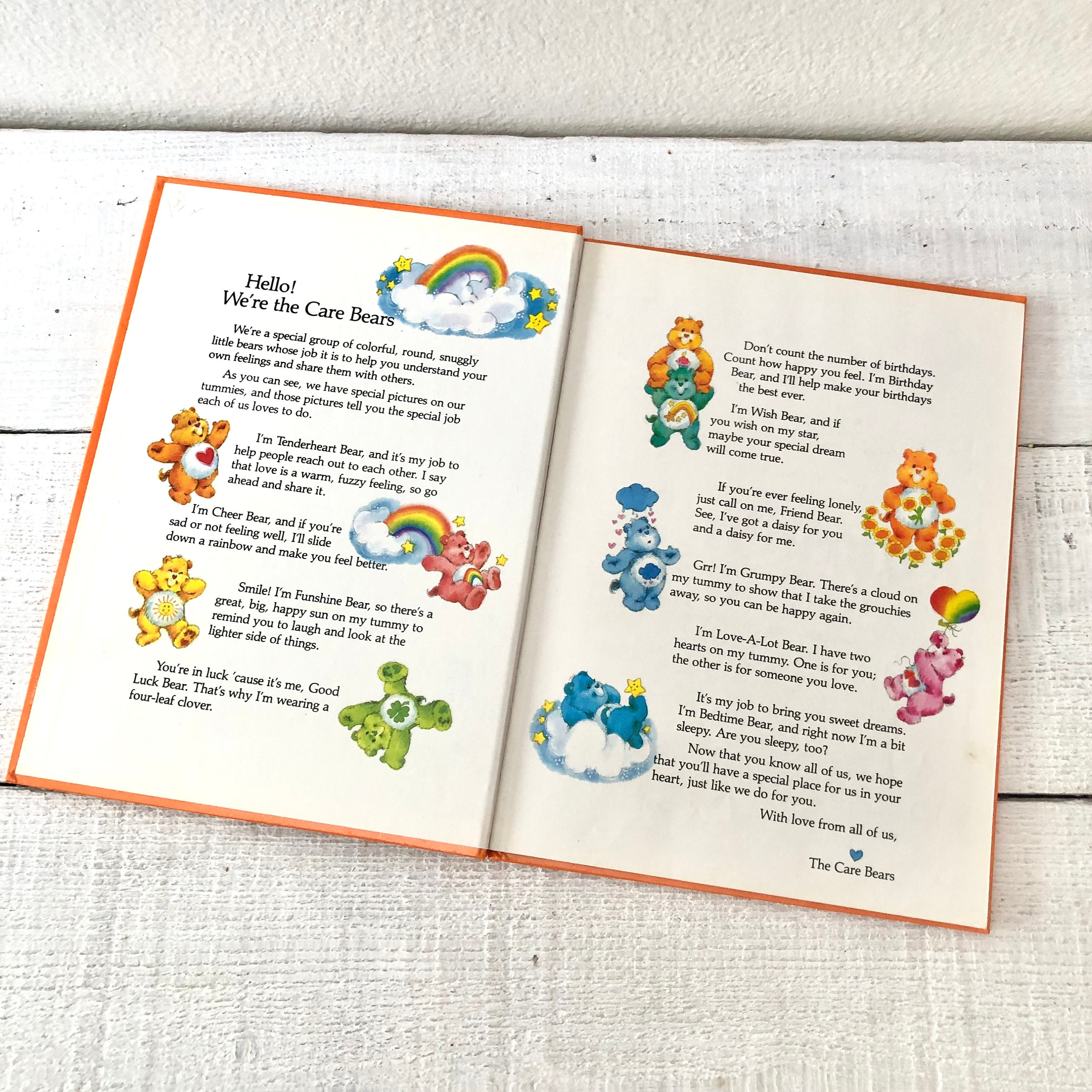 1983 ‘care Bears, the Trouble With Timothy’ - Etsy